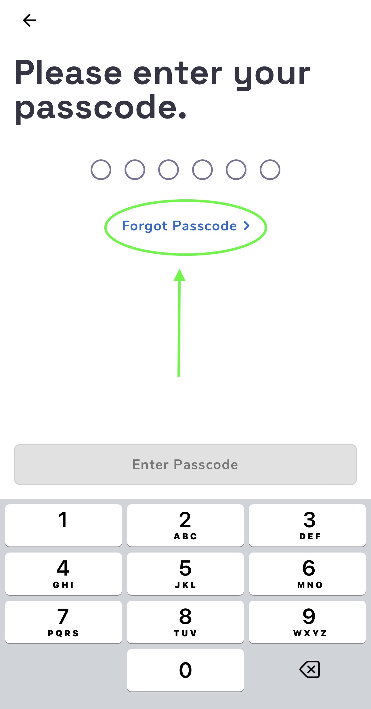 How do I reset my passcode? – Branch Help Center